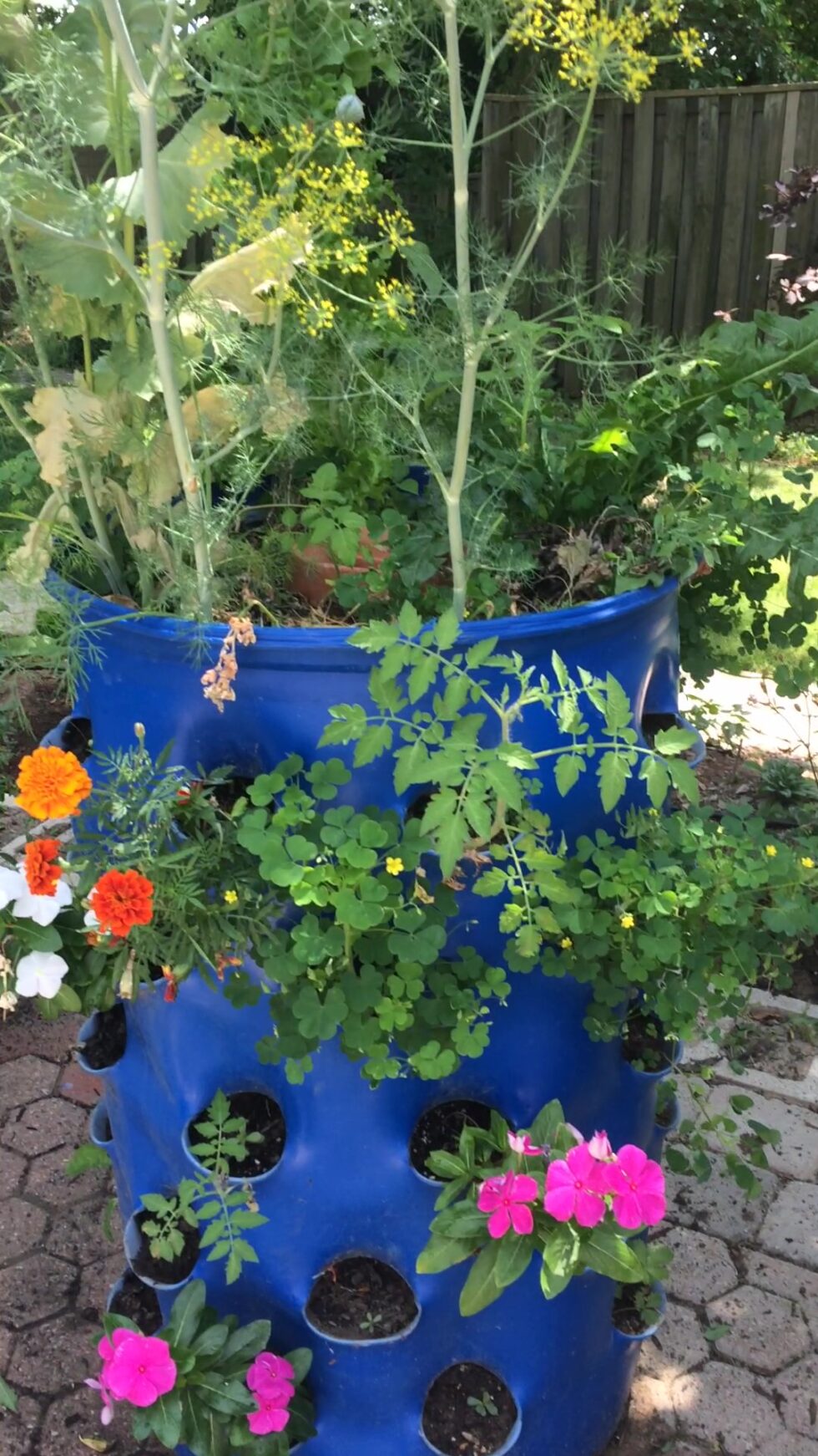 Barrel Garden | Urban Garden Solutions